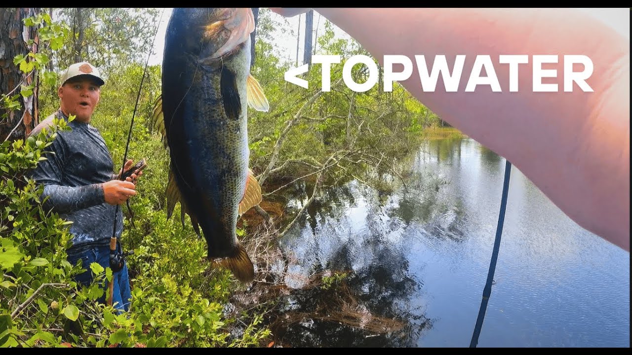 the CRAZIEST Top Water Hits Ive Ever Seen!!! (MULTIPLE GIANTS) - YouTube