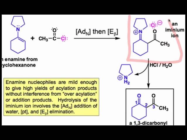 Enamine Nucleophile