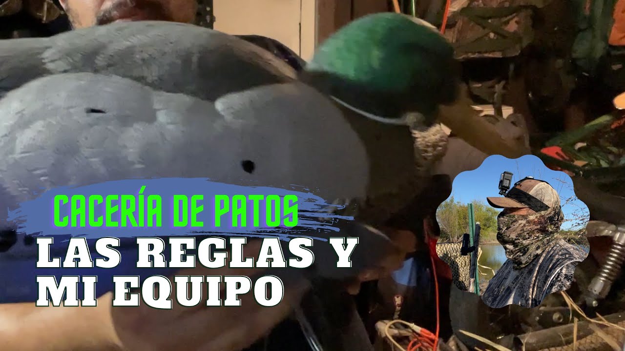 Quieres ir a Cazar Patos en Texas - YouTube