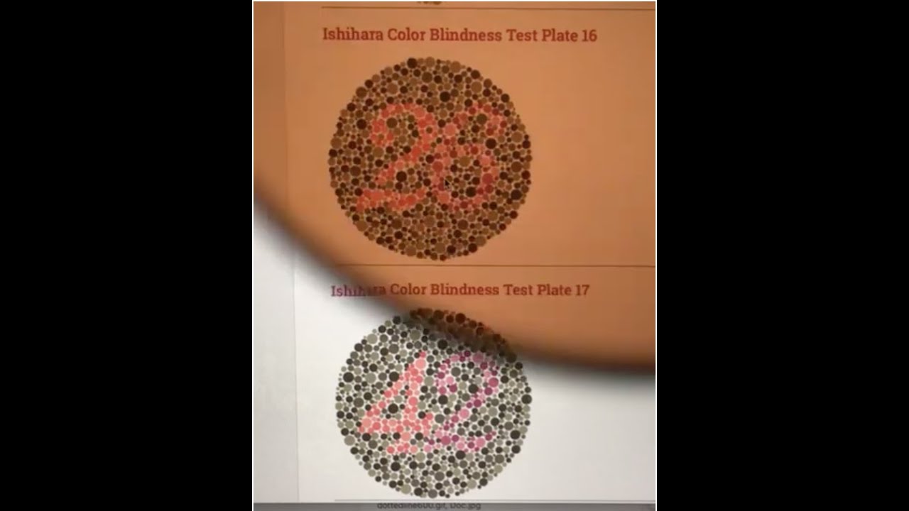 Colorblind Sunglasses Demo Simulation vs. Ishihara Dot Test (with ...