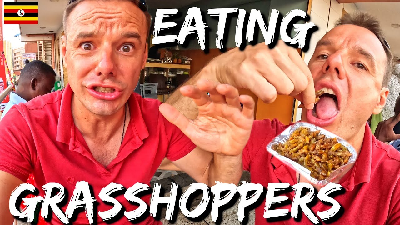 A Feast of Insects in Africa 🇺🇬 vA 101 Kampala | Uganda - YouTube