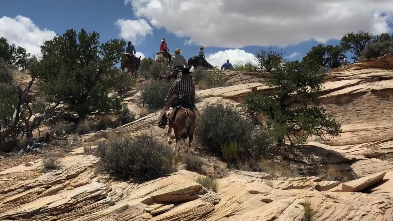 Mules riding through slick rock in 2018 rock crawling clinic - YouTube