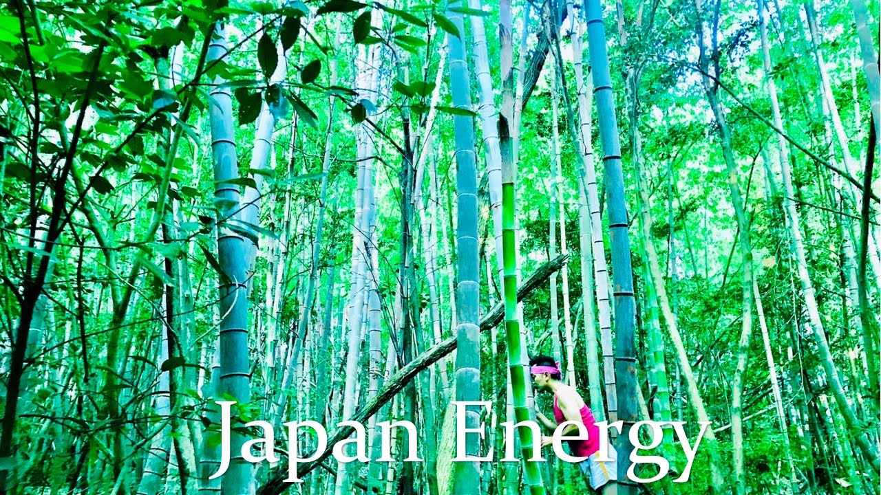 [Japan Energy] Everything begins with energy. The energy of the earth ...