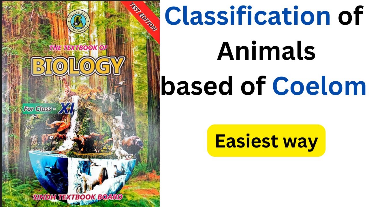 classification of animals based on coelom |chapter 9 Diversity among ...