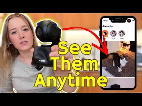 This AI pet camera tracks my pets automatically! | SiiPet PawTrack AI camera review