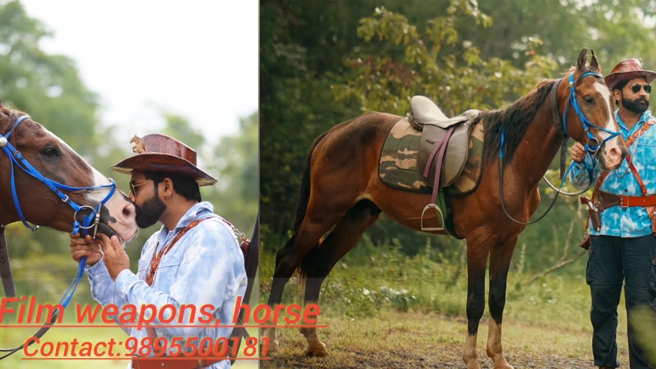 Film weapons gun, sword, bow and arrow, antique weapons, l contact ...