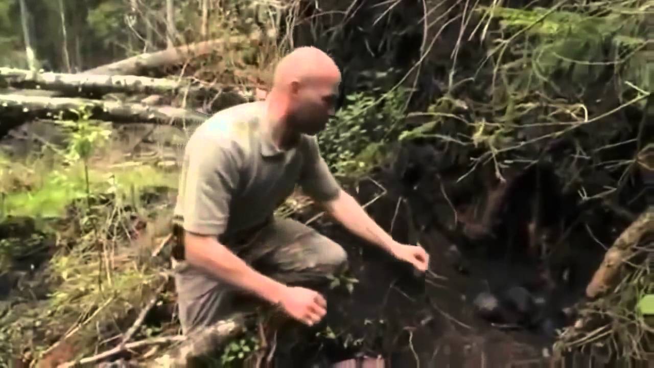 Chernobyl Disaster Scary Mutations Full Documentary 1080p - YouTube