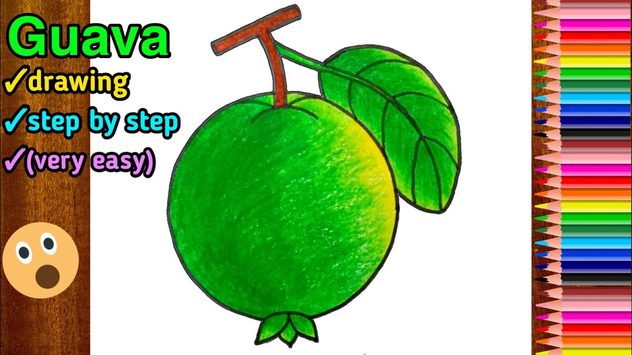 how to draw a guava step by step || easy drawing || guava drawing for ...