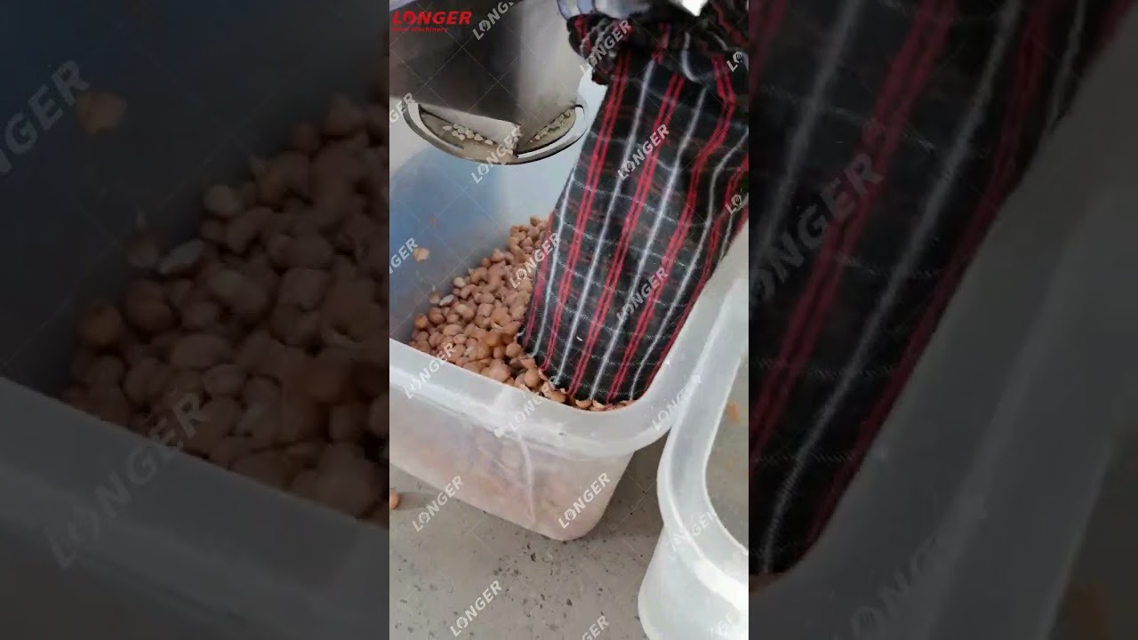 Nut Sorting Machine/Peanut Sorter/Cocoa Bean Sorting Machine - YouTube