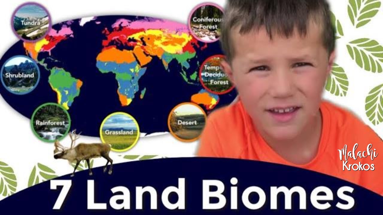 7 Land Biomes - YouTube