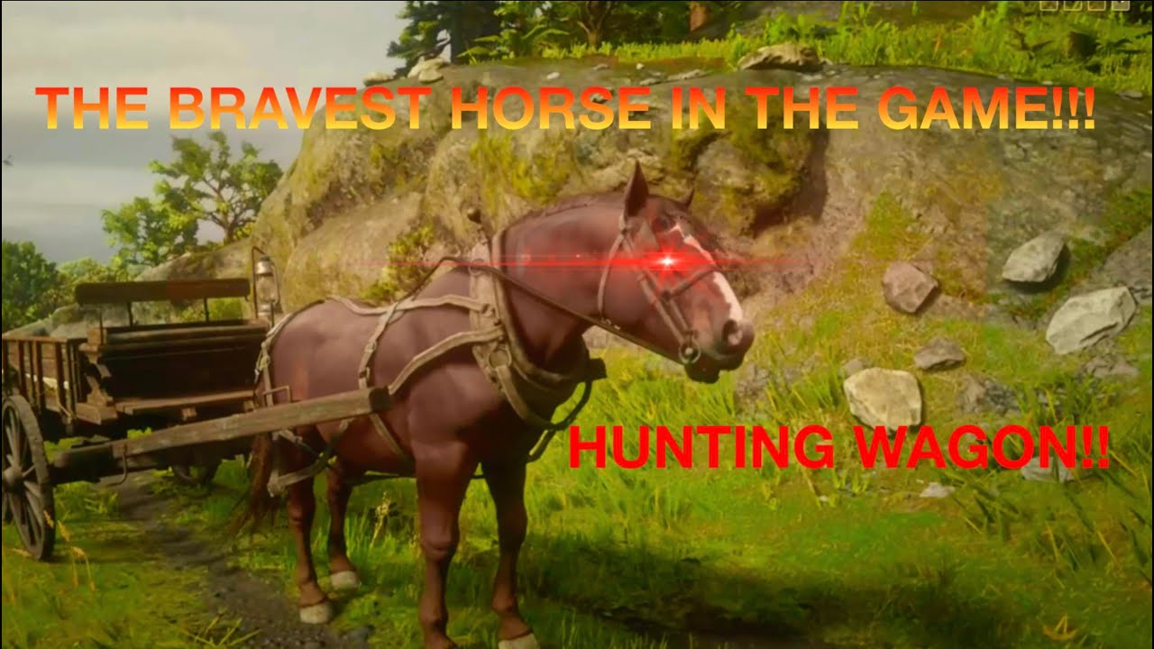 The BRAVEST HORSE in the game! Red Dead Redemption 2 Online - YouTube