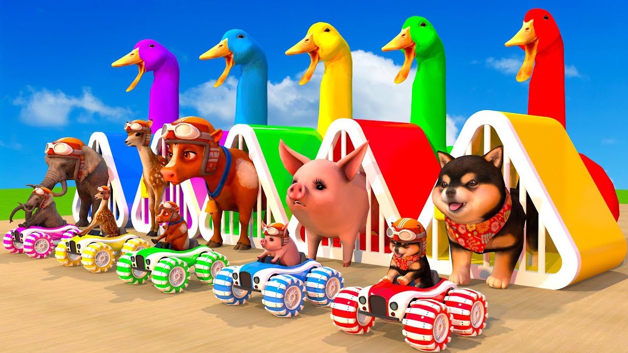 Choose Car to play Game Dog Pig Cow Deer Elephant & 5 Giant Duck ESCAPE ...