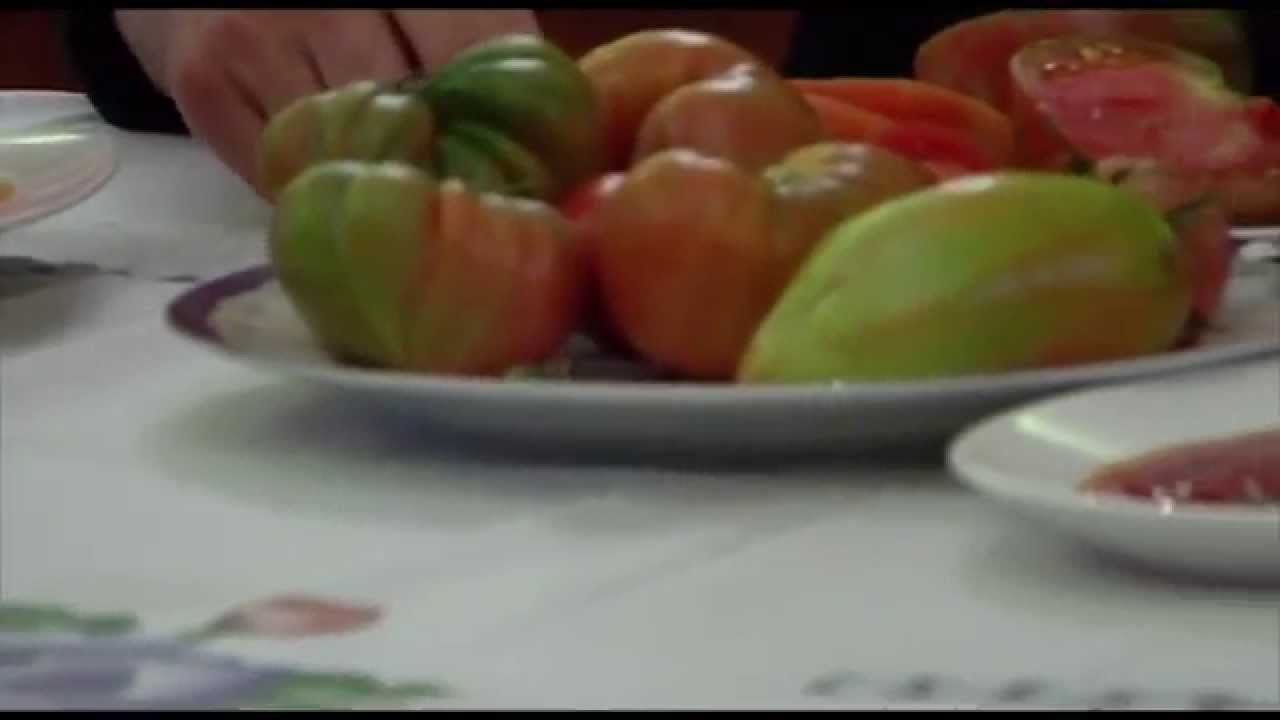 PRODUCCIONES CACHUCHAS - el rey del tomate - YouTube