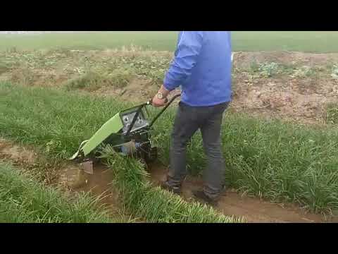 Root cutting machine Leek and celery harvester - YouTube