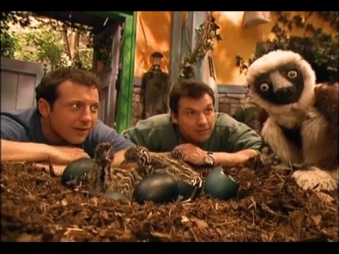 Zoboomafoo Cap. 35: \