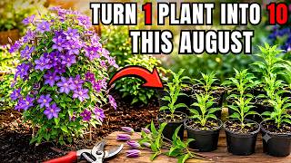 10 Perennials That Are Easy to Propagate in August! (Get 10 Plants Free From Just 1 Bush.)