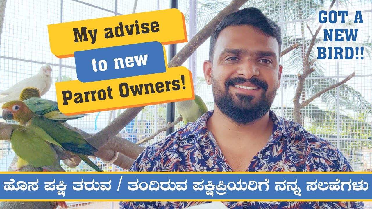 My advise to new Parrot Owners! ಹೊಸ ಪಕ್ಷಿ ತರುವ / ತಂದಿರುವ ಪಕ್ಷಿಪ್ರಿಯರಿಗೆ ...