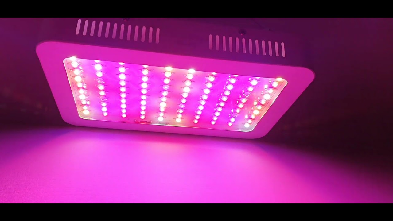 Painel Sunny Day 1000W Full Spectrum Double Chip com Garantia e Nota ...