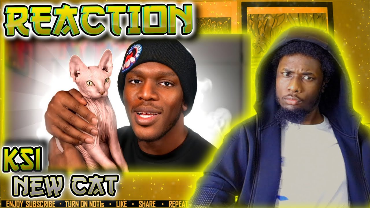 EWWW | KSI Meet My Cat [REACTION] - YouTube
