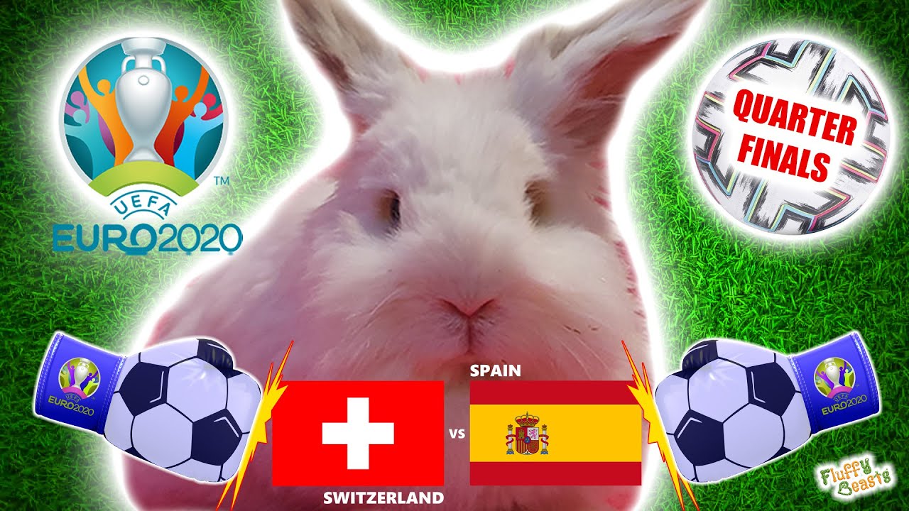 UEFA Euro 2020 Predictions | Switzerland vs Spain | Bunny Rabbit ...