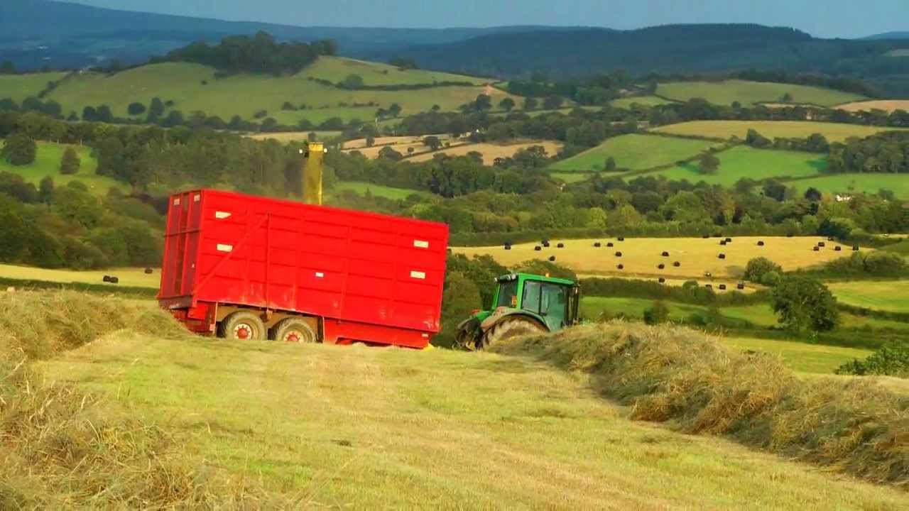 Silaging in the Evening. Stunning View, Wonderful Light! - YouTube
