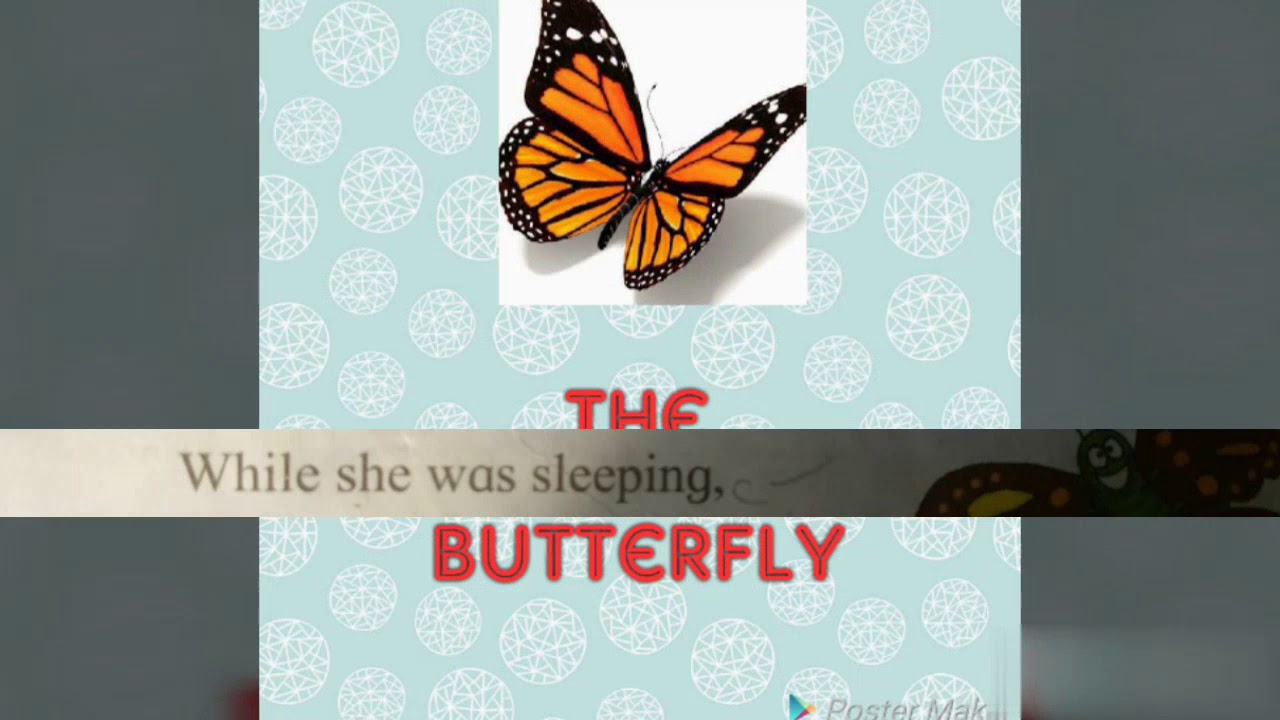 Growing up-The butterfly std 4th English poem. Life cycle of butterfly ...