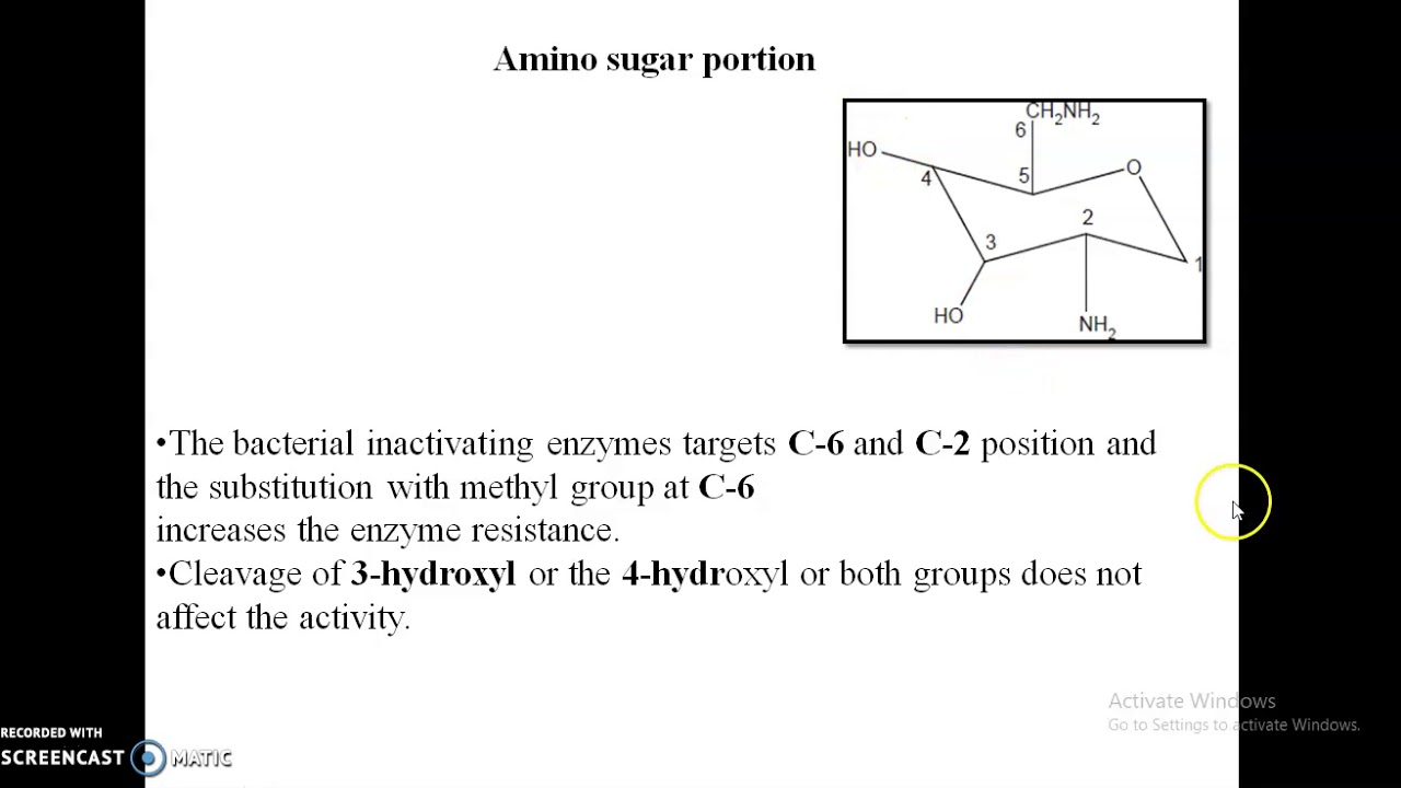 Detail chemistry of Antibiotics affecting protein synthesis - YouTube
