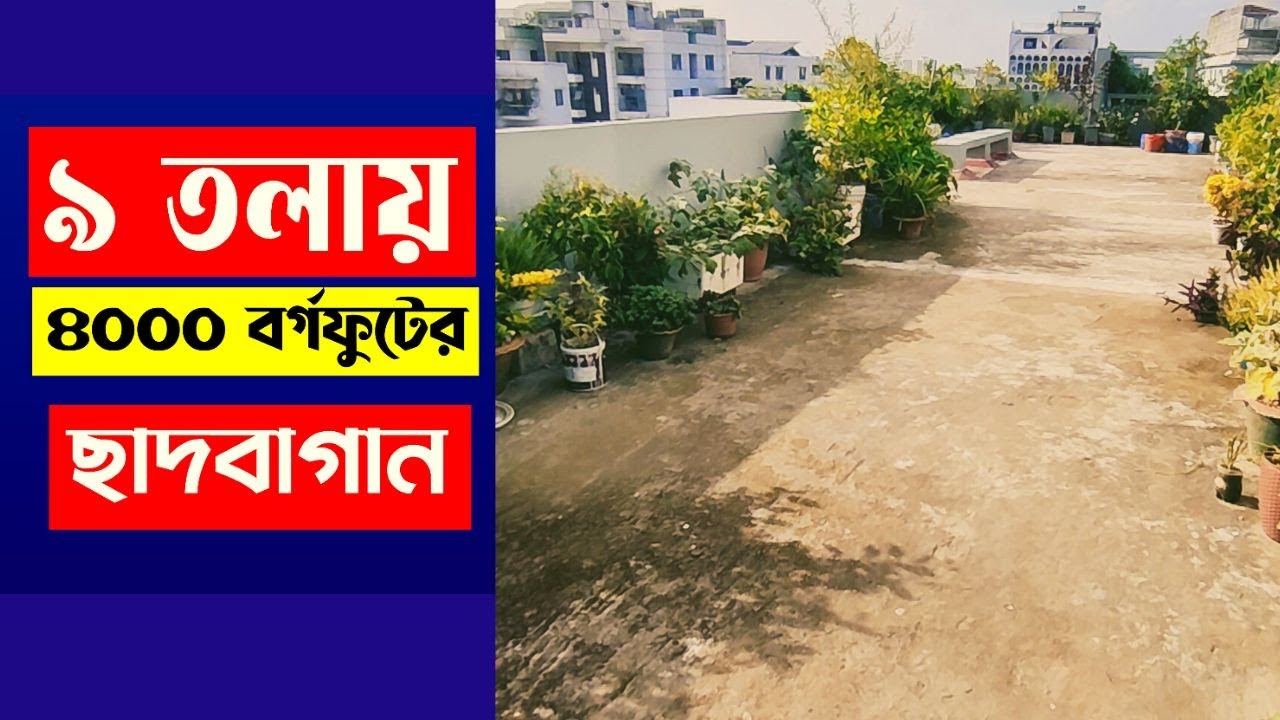 Roof gardening - ছাদ বাগানে কি নেই Our Roof Garden at Dhaka City - Roof Garden - Garden ...