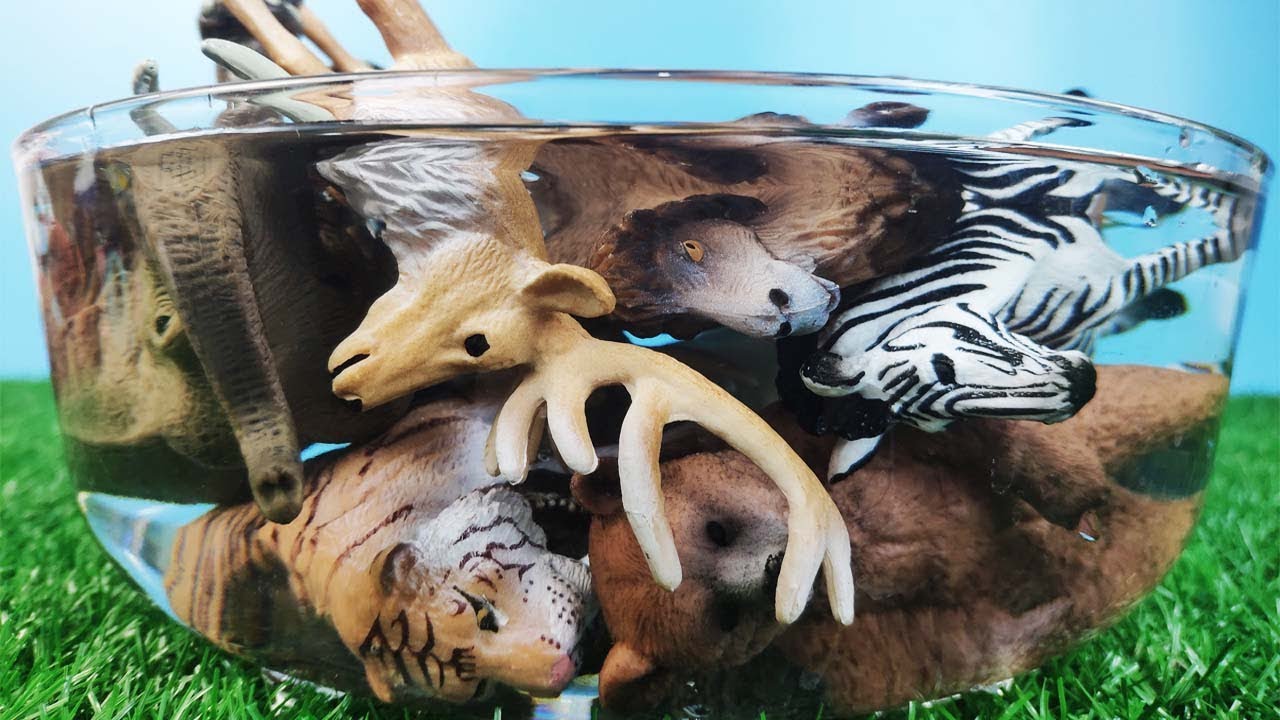 Learning Wild Animals Names for kids | Learn Colors for Kids - YouTube