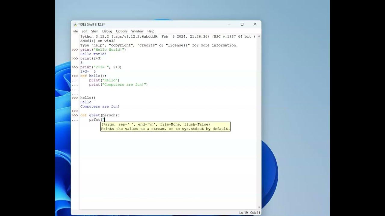 Python shell function parameters - YouTube