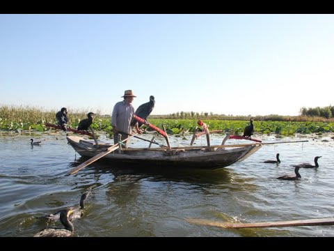 Baiyangdian(Baiyang Lake) - YouTube