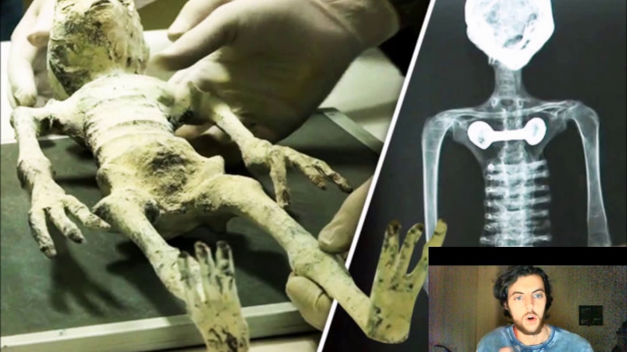 Possible Ancient Alien Mummies Found | DNA Results confirmed - YouTube