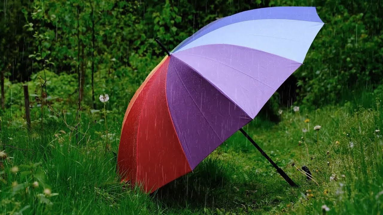 Umbrella Rainfall: Serene Rain Sounds for Deep Relaxation - YouTube
