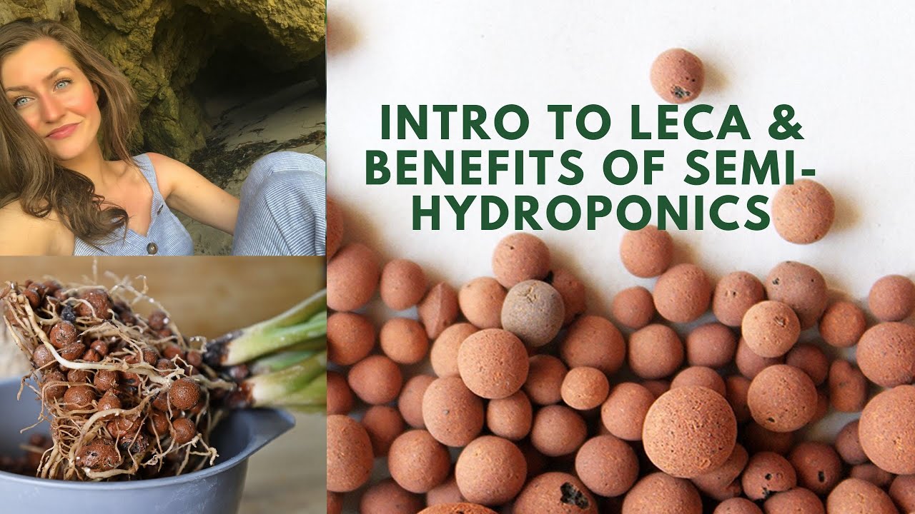 LECA & Benefits of Semi-Hydroponics - YouTube