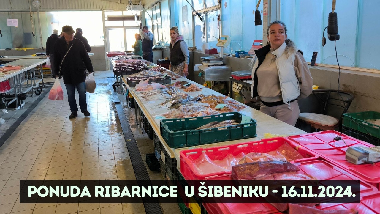 U ponudi 🐟RIBARNICE u ŠIBENIKU🐟 unatoč BURI ima ribe🐟 . - YouTube