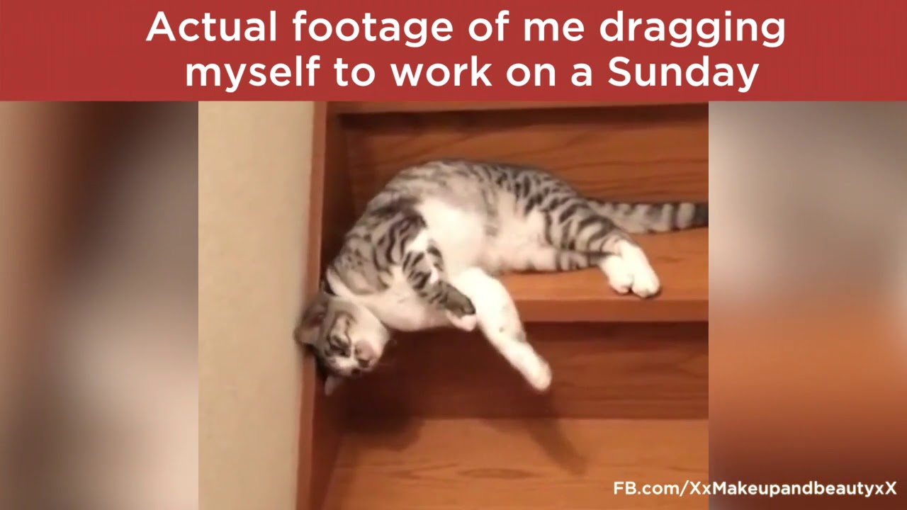 Actual footage of me dragging myself to work on a Sunday - YouTube