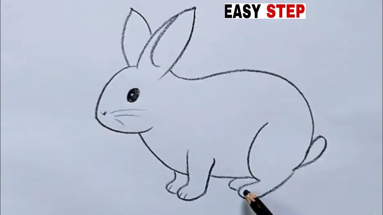 how to draw rabbit drawing easy step by step| rabbit drawing# Bunny ...