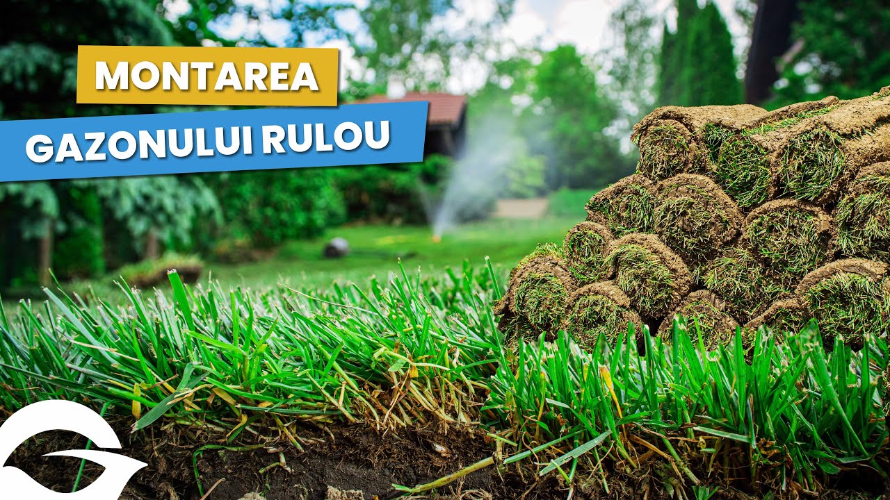 Gazonul rulou | Pregătirea terenului și montarea în grădină |🏡 - YouTube