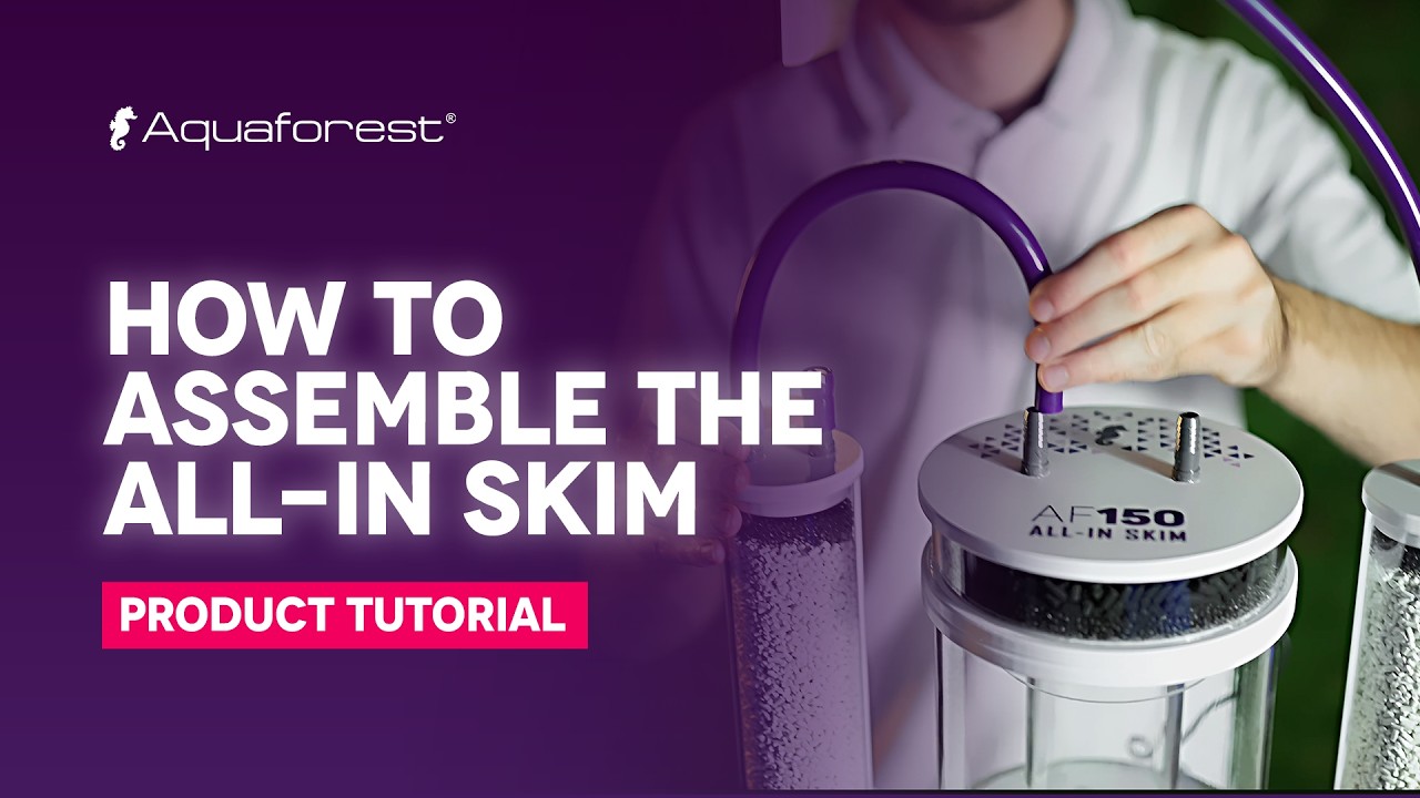 How to assemble the All-in Skim | Product Tutorial - YouTube