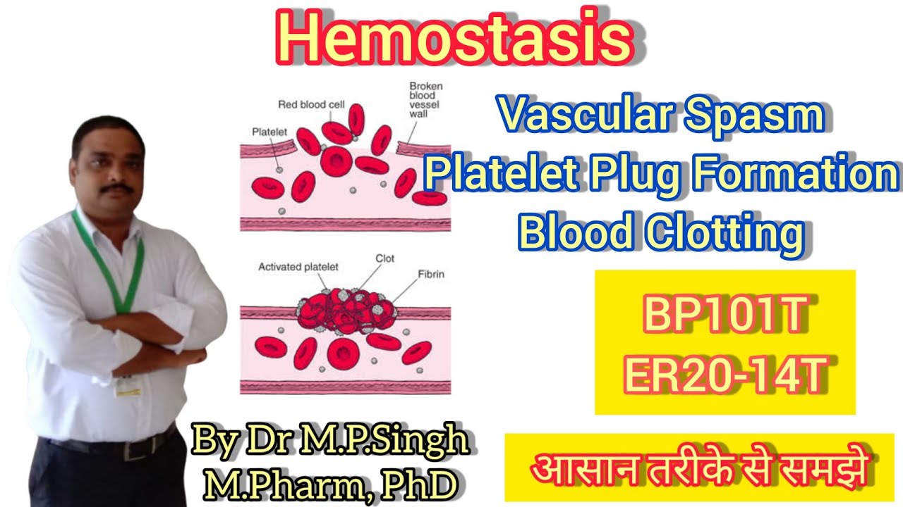 Hemostasis | Blood Clotting (Coagulation) | Human Anatomy & Physiology ...