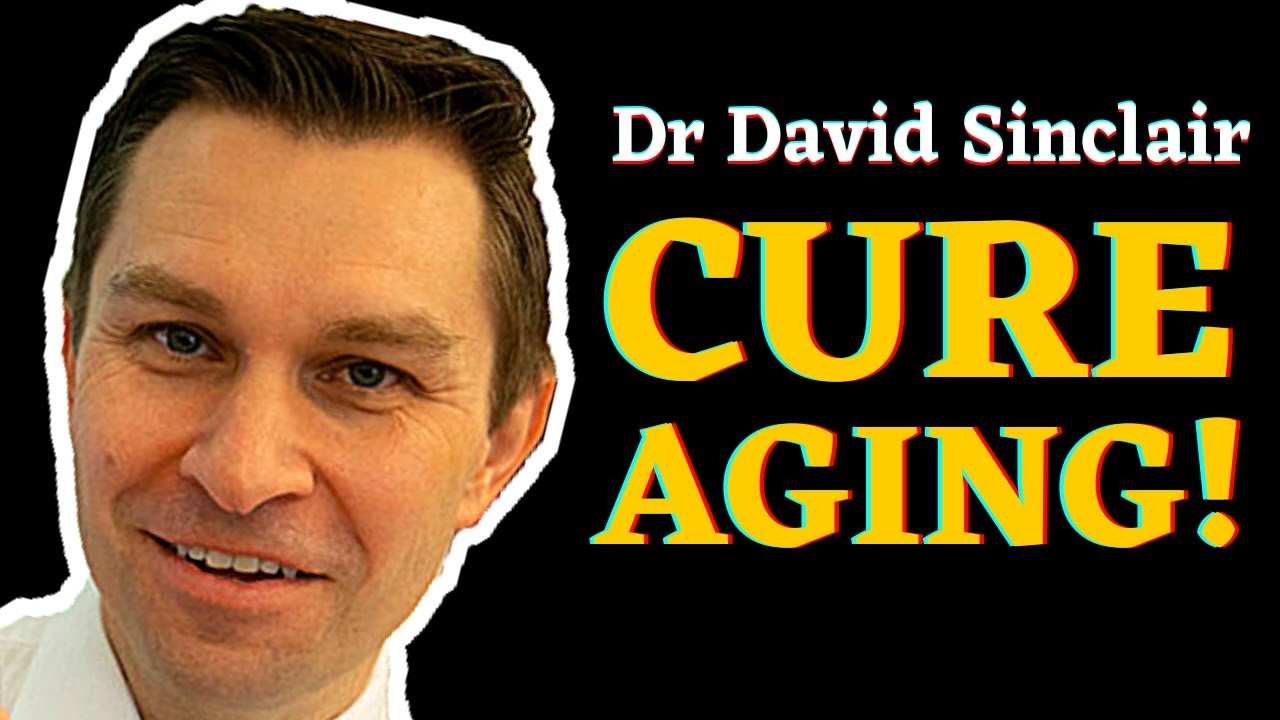 How to Cure Aging – During Your Lifetime? Dr David Sinclair & Sweet ...