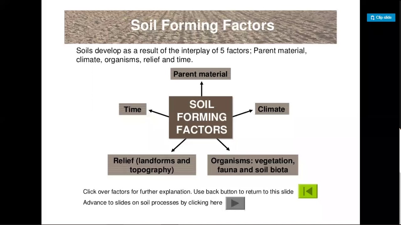 Soil Farming Factor Bsc Botany - YouTube