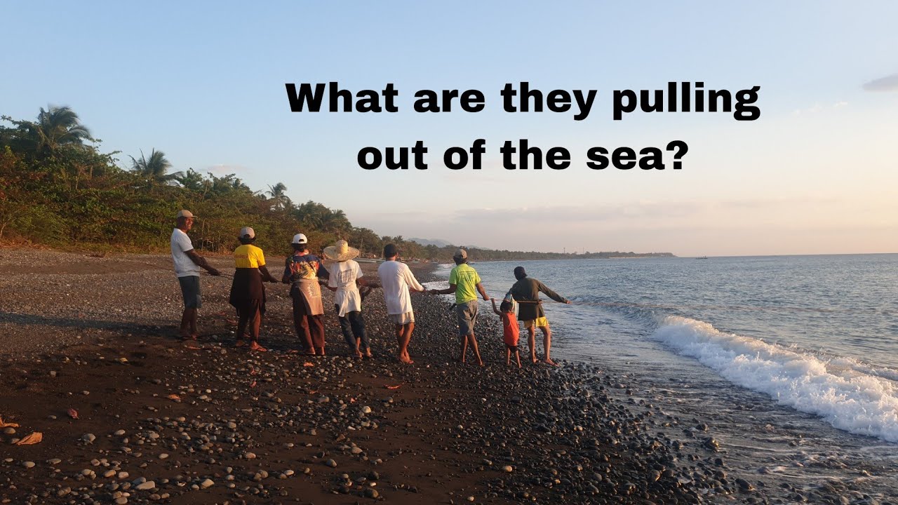 What are they pulling out of the sea? how can they manage it? - YouTube