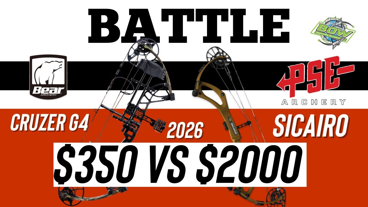 $350 Bow vs $2,000 Bow — Is the Expensive Bow REALLY Worth It? - YouTube