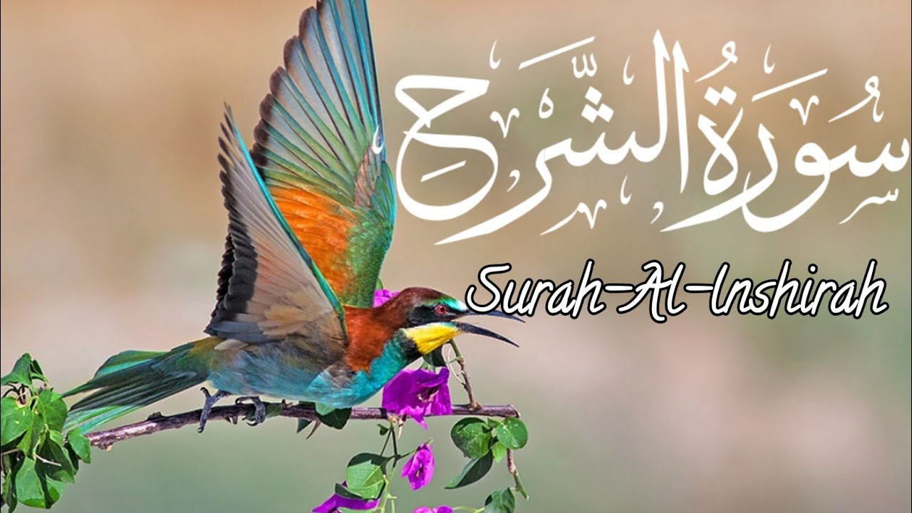 Surah Al Inshirah By MuhammadJahangeerJilani Full with Arabic Text ...