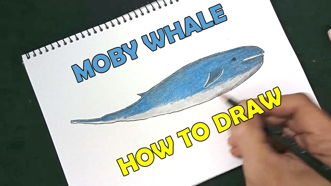 How to DRAW Whale Moby in FISCH ROBLOX - YouTube
