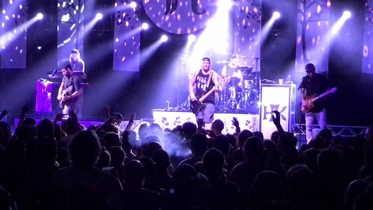 Rebelution - Lay My Claim (Live) - YouTube