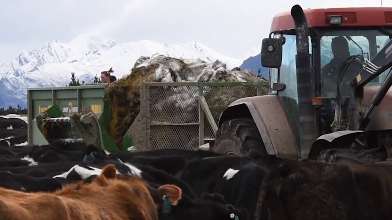 Comby PR Series Feed Out Wagons - YouTube