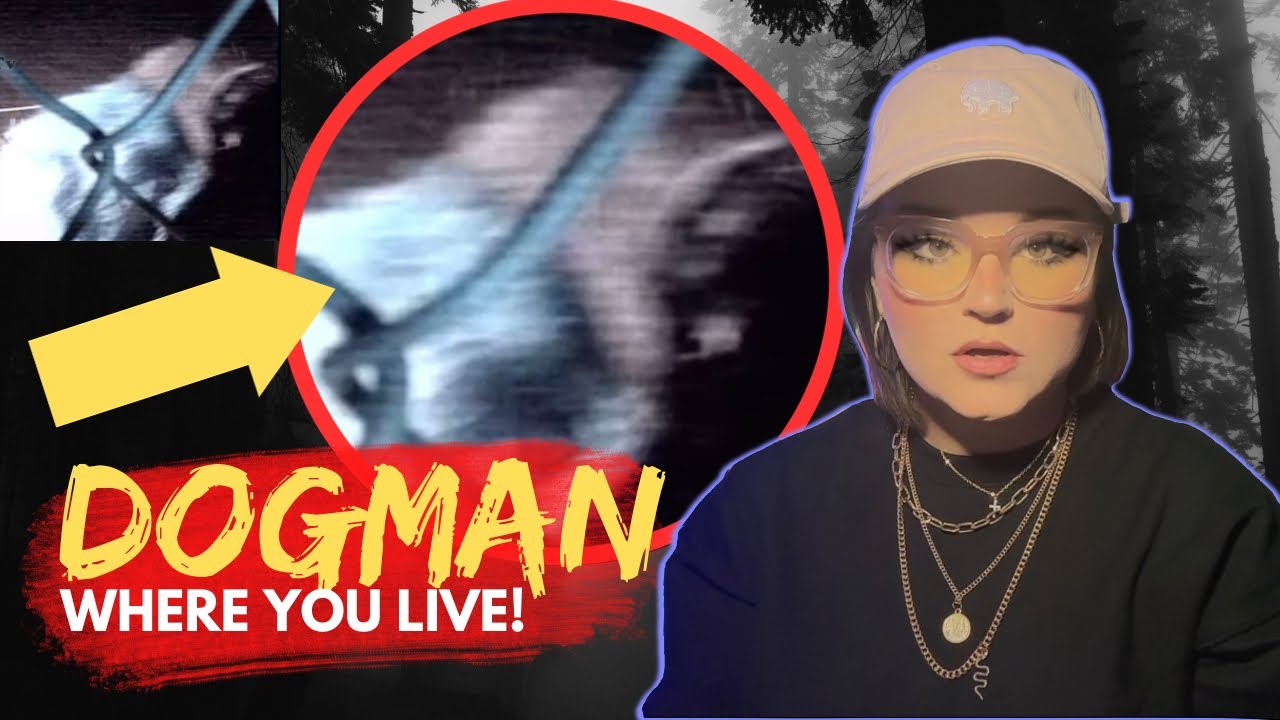 5 Dogman Experiences where YOU LIVE😳😱|Terrifying Footage&Stories that will Keep YOU UP ALL NIGHT ...