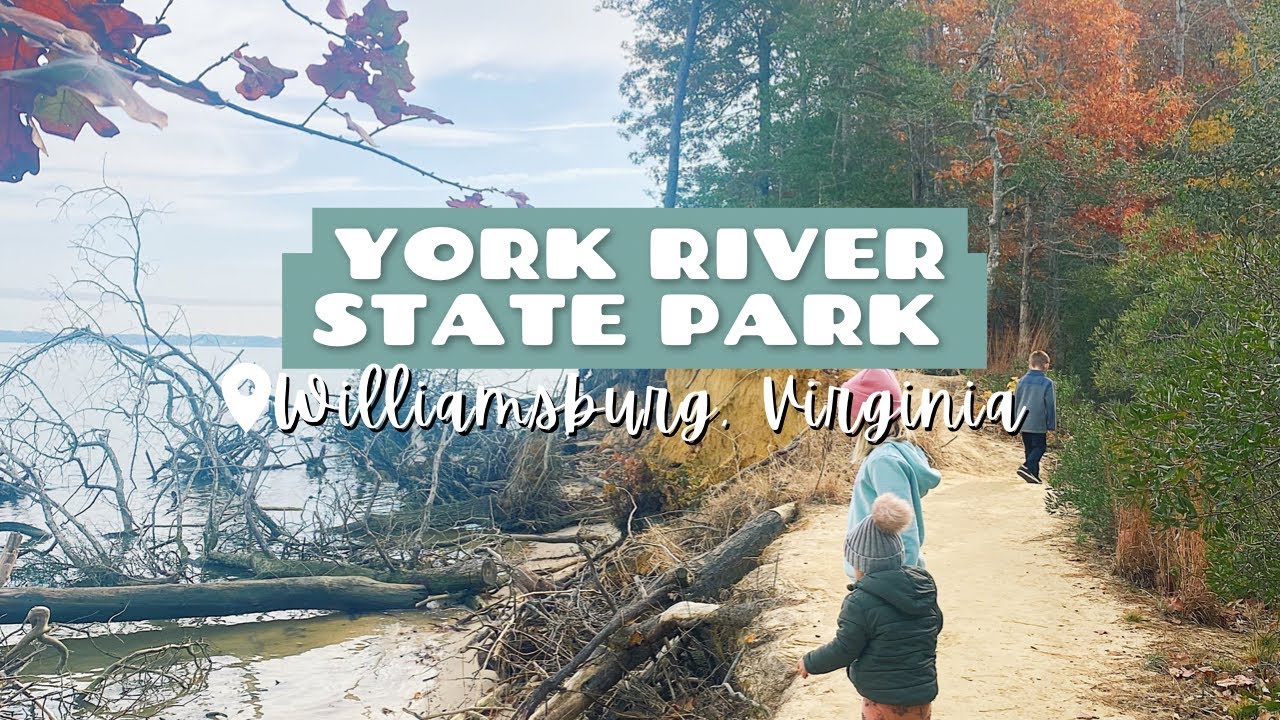 Fossil Hunting + Hiking | York River State Park | Williamsburg, VA ...